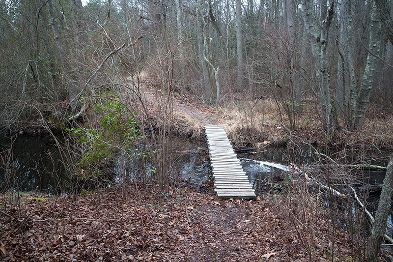Black Run Preserve | njHiking.com