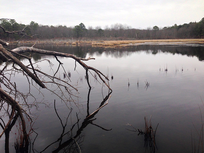 Black Run Preserve | njHiking.com