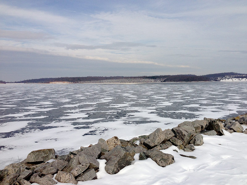 Merrill Creek Reservoir | njHiking.com