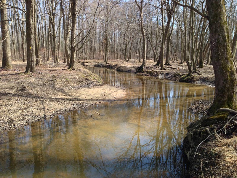 Ireland Brook Conservation Area | njHiking.com