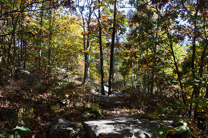 High Point State Park – Monument Trail | njHiking.com