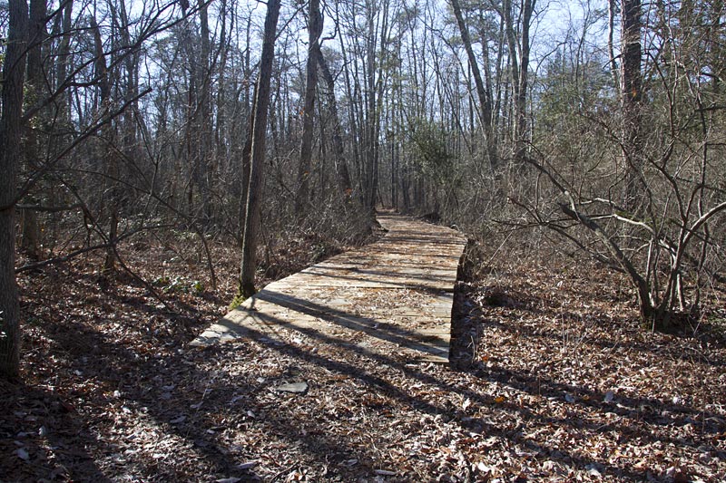 Belleplain State Forest | njHiking.com