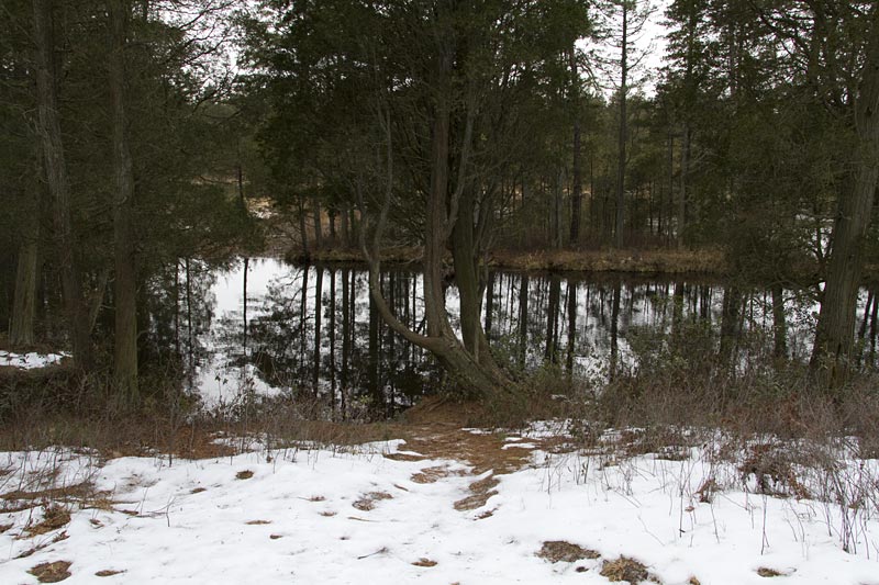 Wharton State Forest - Batsto Lake Trail | njHiking.com