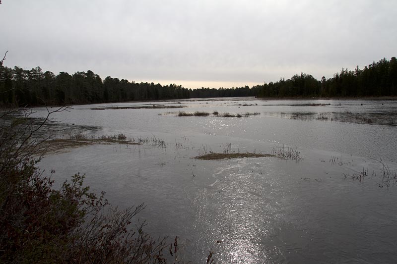 Wharton State Forest - Batsto Lake Trail | njHiking.com