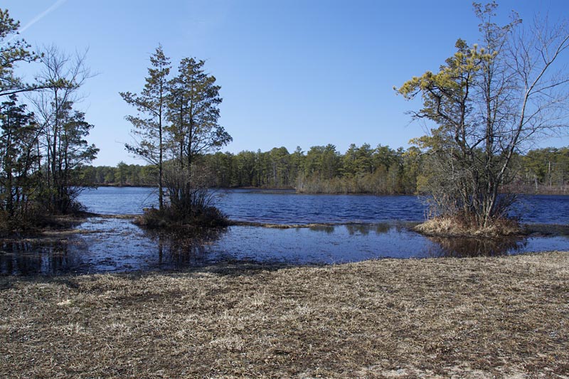 Penn State Forest - Oswego Lake | njHiking.com