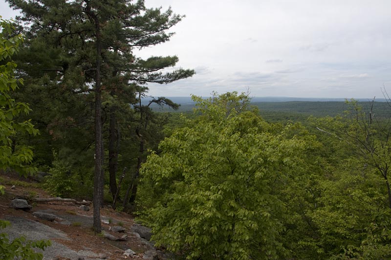 Stokes State Forest - Sunrise Mountain | njHiking.com