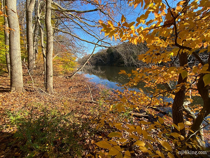 Watchung Reservation – Sierra Trail | njHiking.com