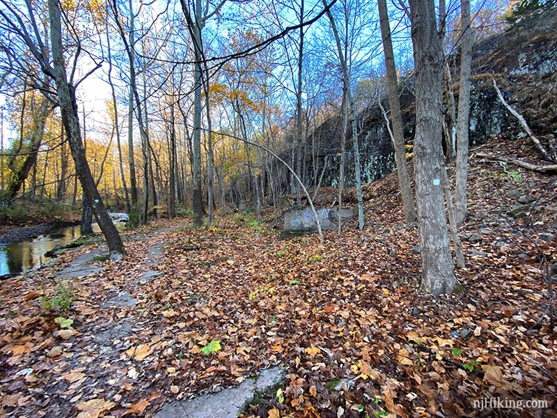 Watchung Reservation – Sierra Trail | njHiking.com