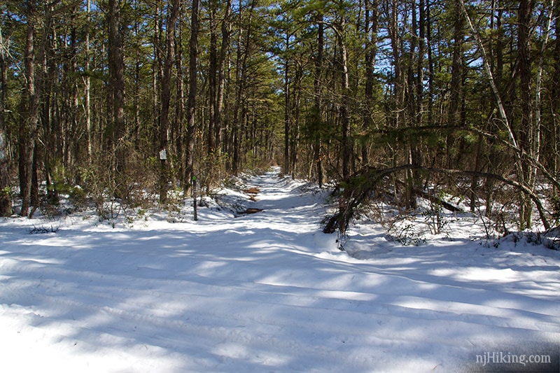 Brendan Byrne and Pakim Pond in the snow | njHiking.com Brendan Byrne and Pakim Pond in the snow | njHiking.com