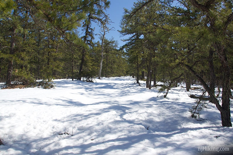 Brendan Byrne and Pakim Pond in the snow | njHiking.com Brendan Byrne and Pakim Pond in the snow | njHiking.com