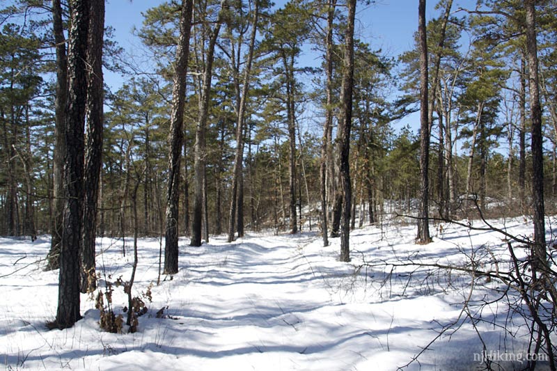 Brendan Byrne and Pakim Pond in the snow | njHiking.com Brendan Byrne and Pakim Pond in the snow | njHiking.com