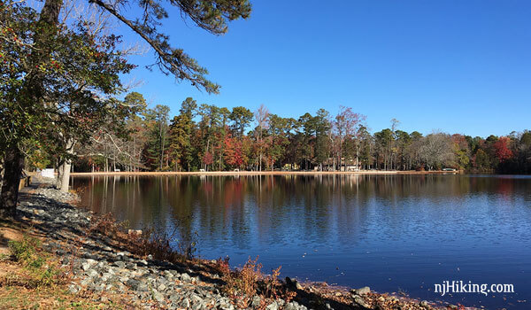 Belleplain State Forest | njHiking.com