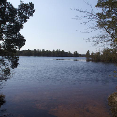 Penn State Forest - Oswego Lake | njHiking.com