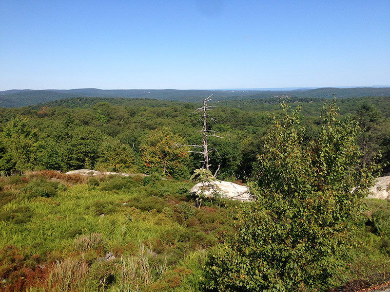 Black Rock and Hogencamp Mountain | njHiking.com