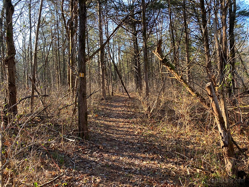 Directions To Butler Road at Karen Baptiste blog