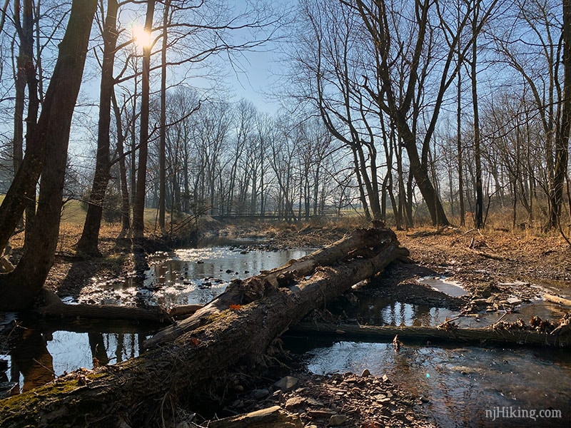 Butler Road Natural Area | njHiking.com