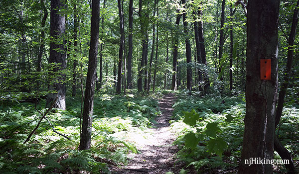 Stephens State Park | njHiking.com