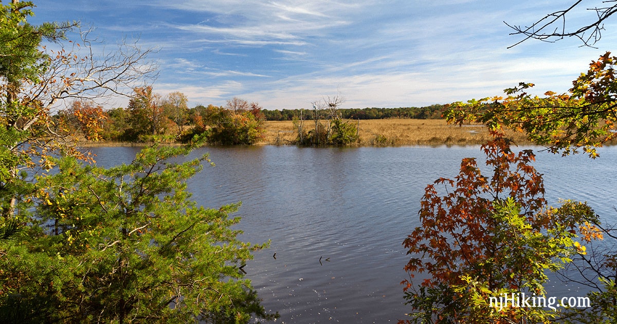 Maurice River Bluffs | njHiking.com