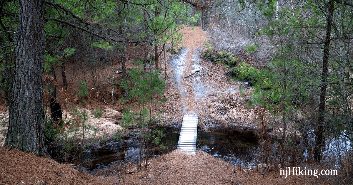 Black Run Preserve | njHiking.com