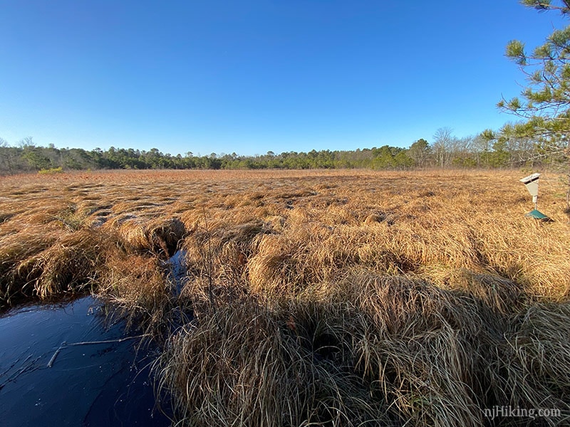 Black Run Preserve | njHiking.com