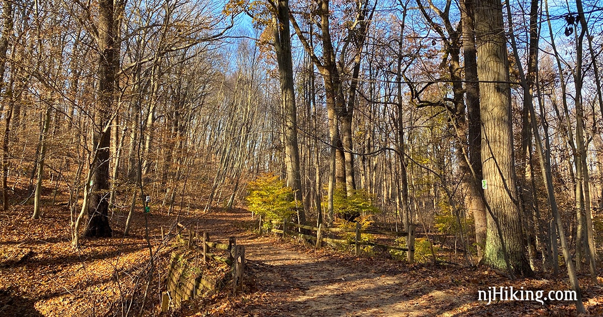 Tatum Park | njHiking.com