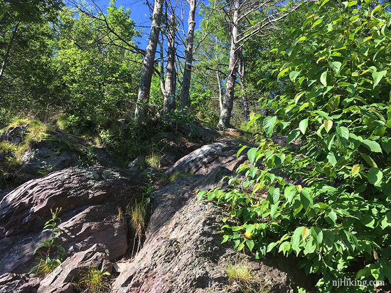 Mt. Minsi, Table Rock, Cold Air Cave, Slateford Falls | njHiking.com