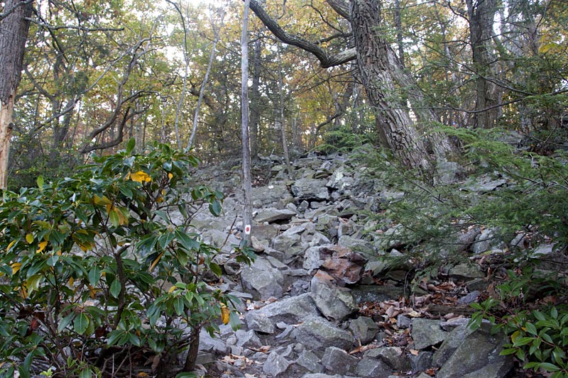 Mt. Tammany and Sunfish Pond in the Fall | njHiking.com
