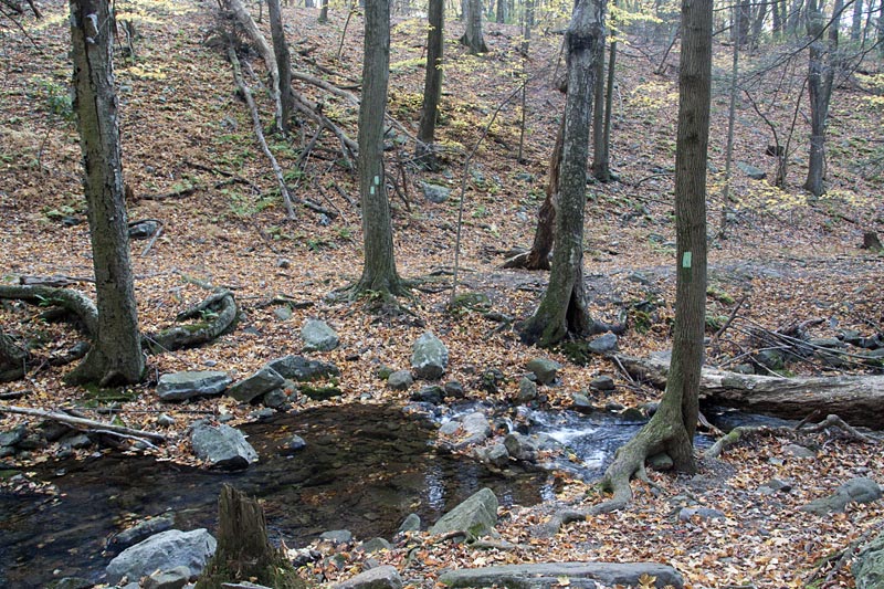 Sunfish Pond | njHiking.com