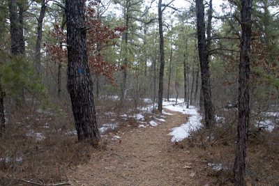 Jakes Branch County Park