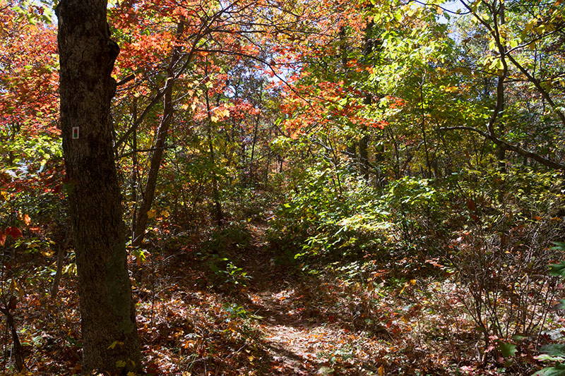 High Point State Park – Monument Trail via A.T. | njHiking.com