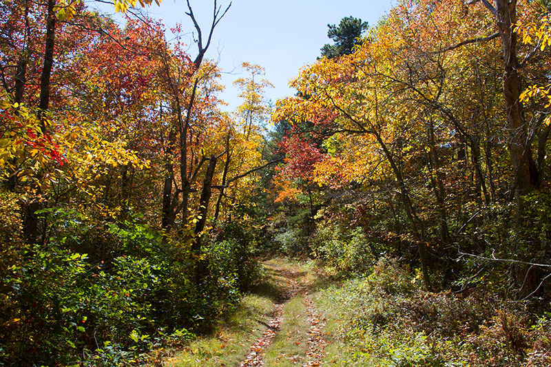 High Point State Park – Monument Trail via A.T. | njHiking.com