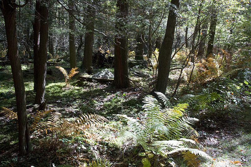 High Point State Park – Monument Trail via A.T. | njHiking.com