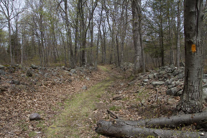 Millbrook Village and Van Campens Glen | njHiking.com