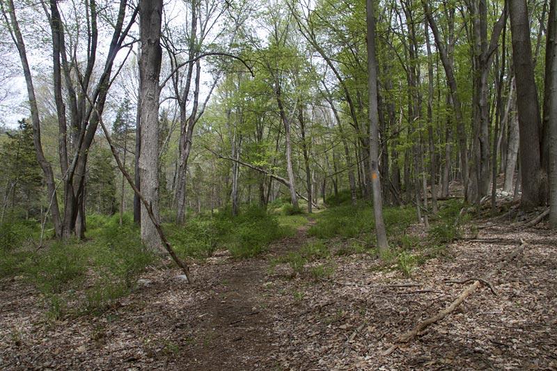 Millbrook Village and Van Campens Glen | njHiking.com