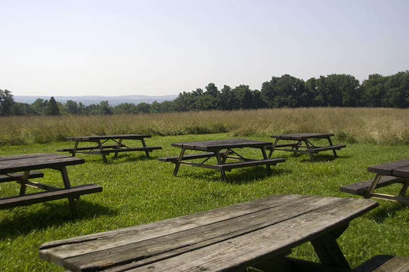 Baldpate Mountain in August | njHiking.com