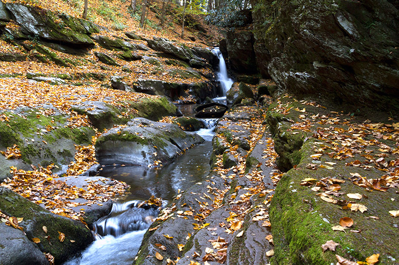 Van Campens Glen | njHiking.com