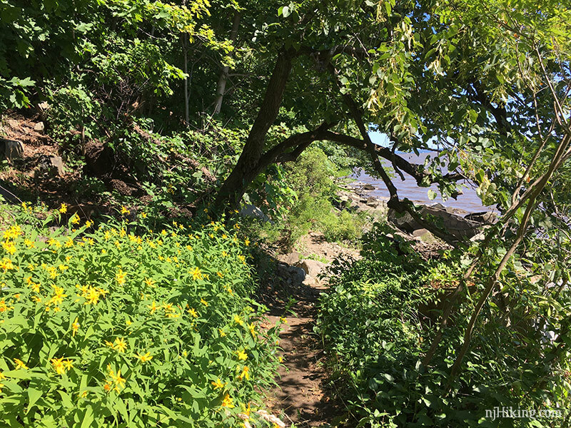 The Giant Stairs – Palisades | njHiking.com