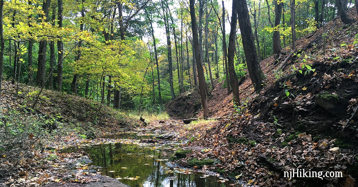 Rutgers Ecological in the Fall | njHiking.com