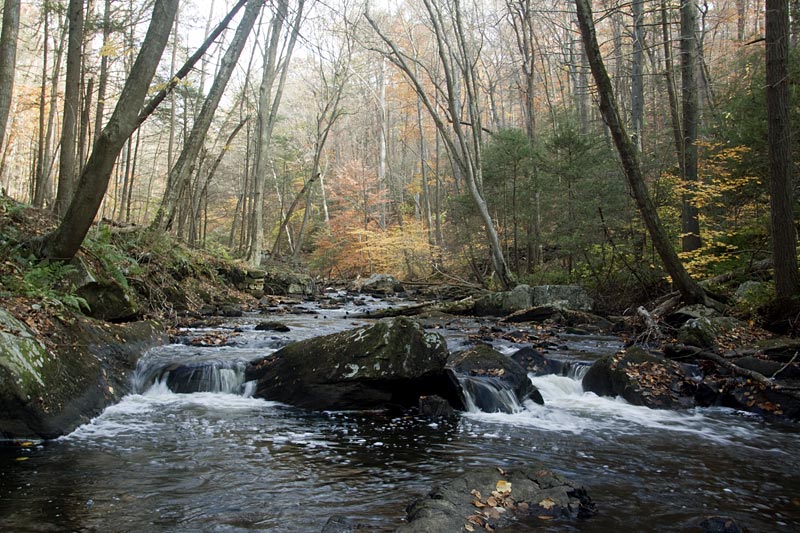 Black River County Park – Cooper Mill | njHiking.com