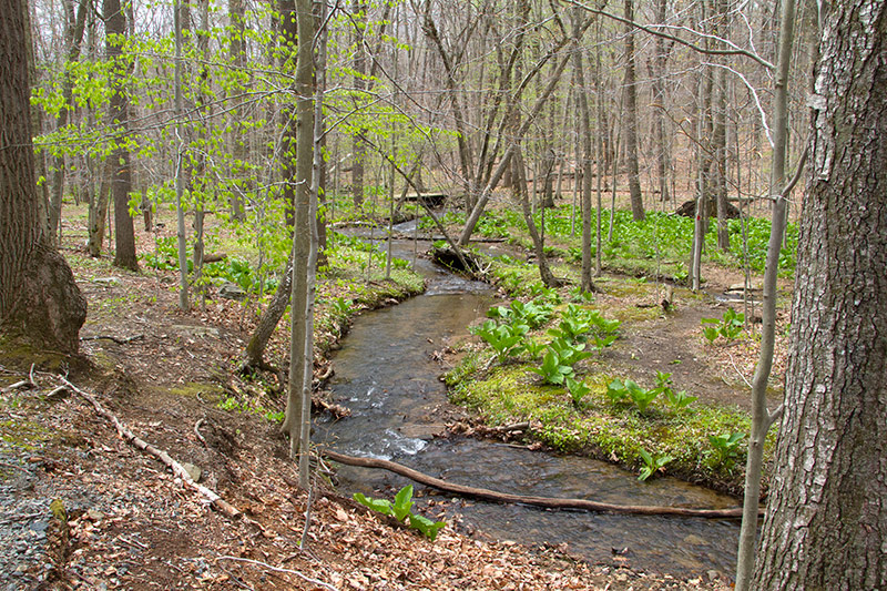 Jockey Hollow – Grand Loop and Blue Trail | njHiking.com