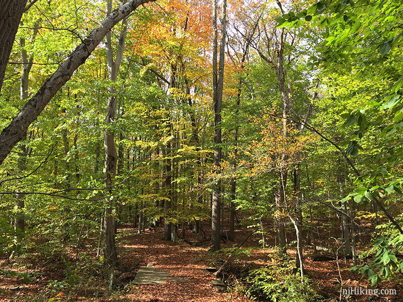 Jockey Hollow – Grand Loop Trail | njHiking.com