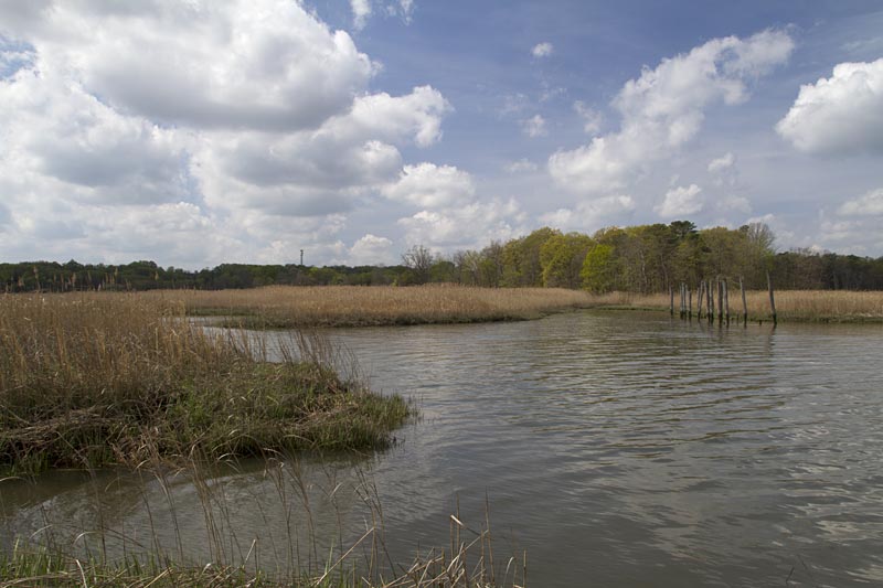 Cheesequake State Park - Steamboat Landing | njHiking.com