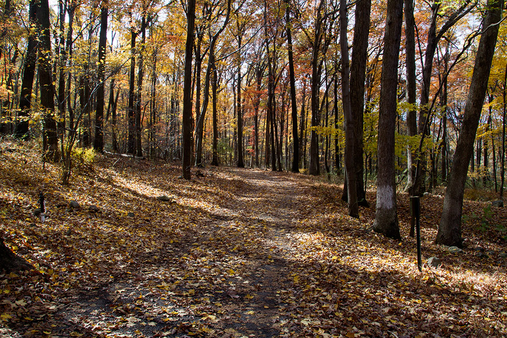 Round Valley Recreation Area | njHiking.com