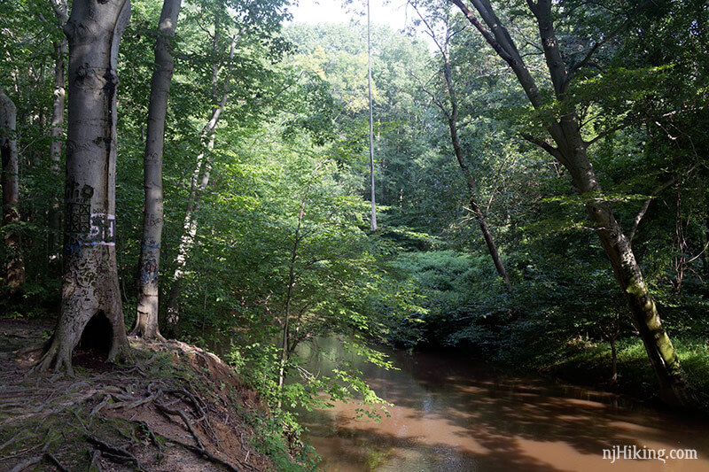 Thompson Park – Middlesex County | njHiking.com
