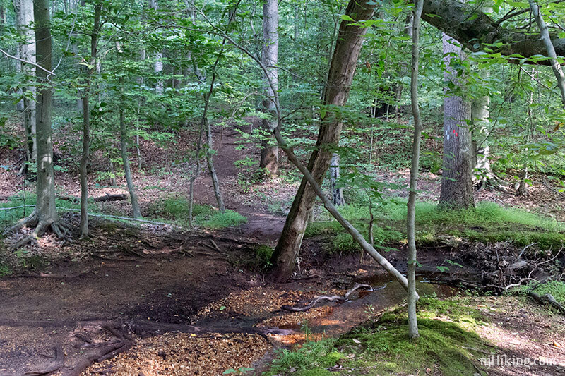Thompson Park – Middlesex County | njHiking.com