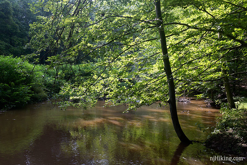 Thompson Park – Middlesex County | njHiking.com