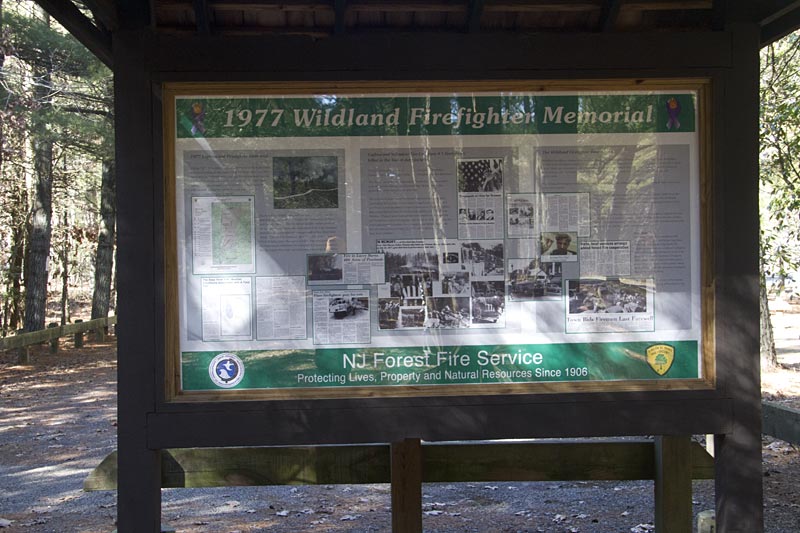 Bass River State Forest | njHiking.com