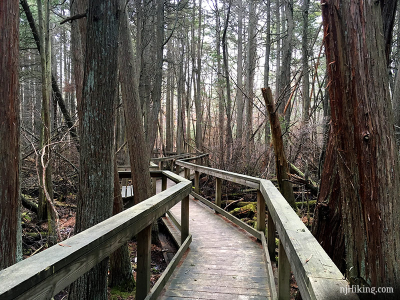 Bass River State Forest | njHiking.com