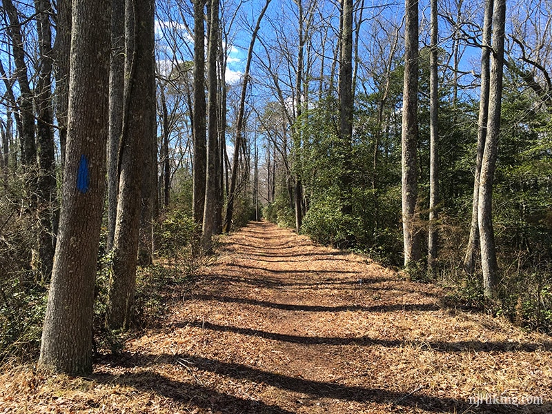 Estell Manor Park | njHiking.com