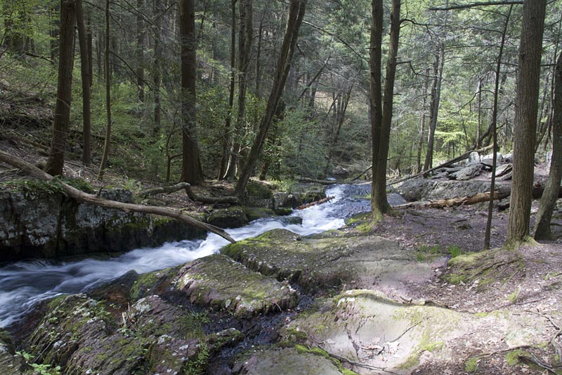 Tillman Ravine and Walpack Cemetery in May | njHiking.com